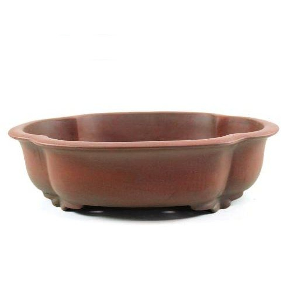 Bonsai Pots | See All Bonsai Pots - British Bonsai