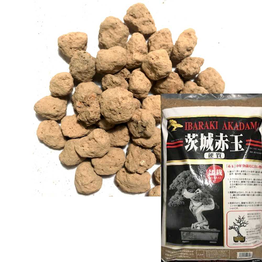 Akadama Bonsai Soil - 4ltr Bag - British Bonsai