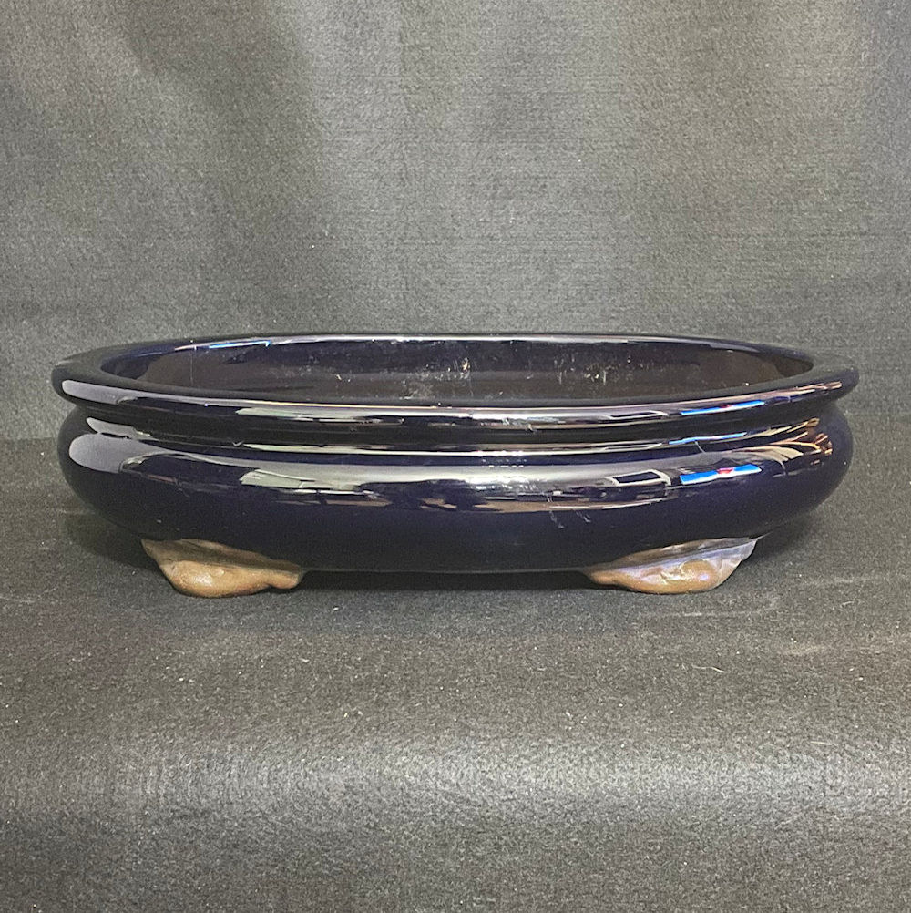 tokoname oval blue glazed bonsai pot - 32 x 24 x 8cm - British Bonsai