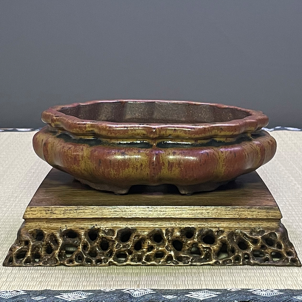 Multi-sided Glazed Bonsai Pot - 26 x 8cm - British Bonsai