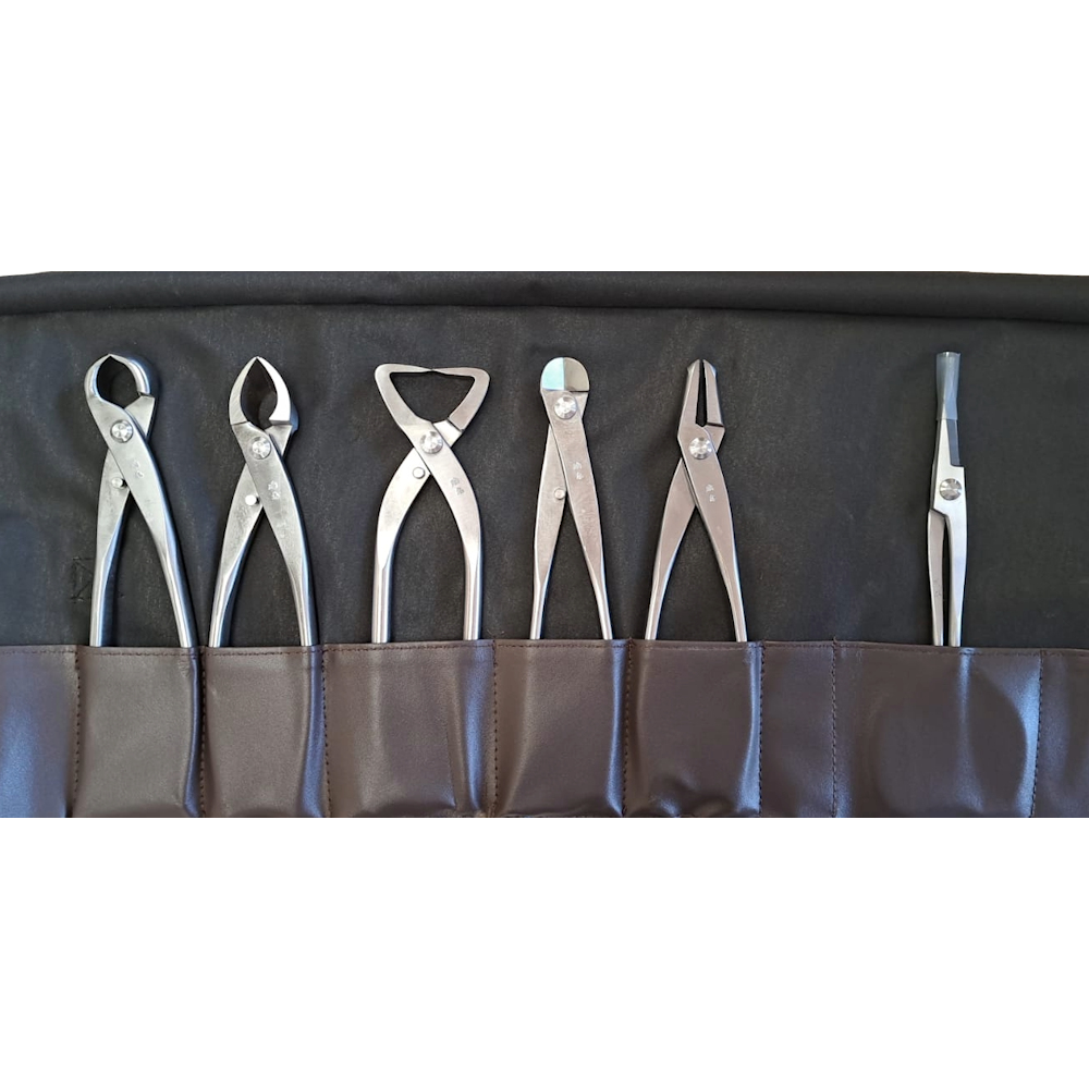 Stainless Steel Bonsai 7 Piece Tool Set - Large Cutters - British Bonsai