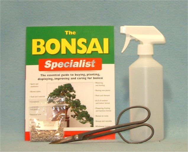 Indoor Bonsai Care Set - British Bonsai
