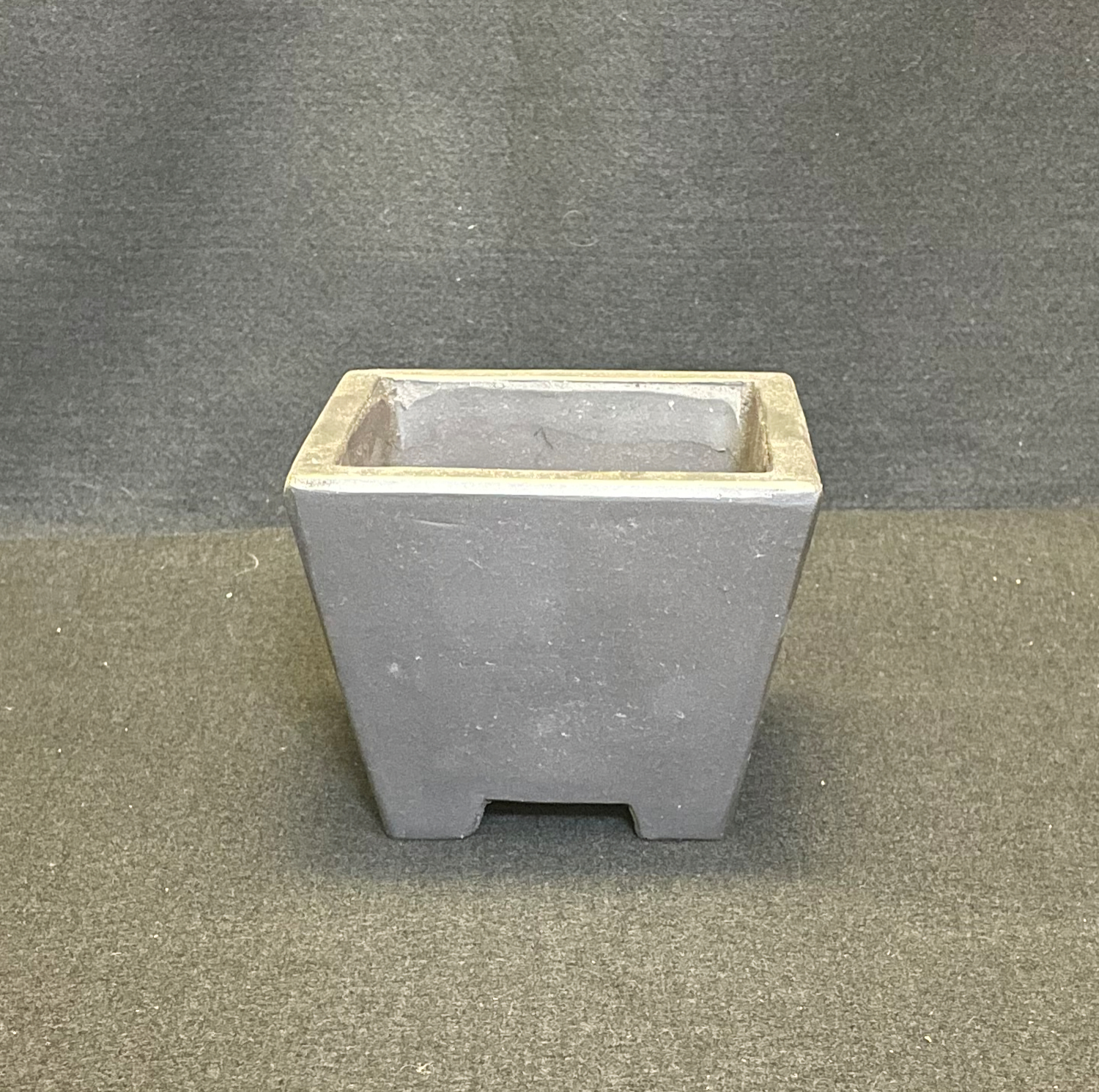 All Products - Page 8 - British Bonsai