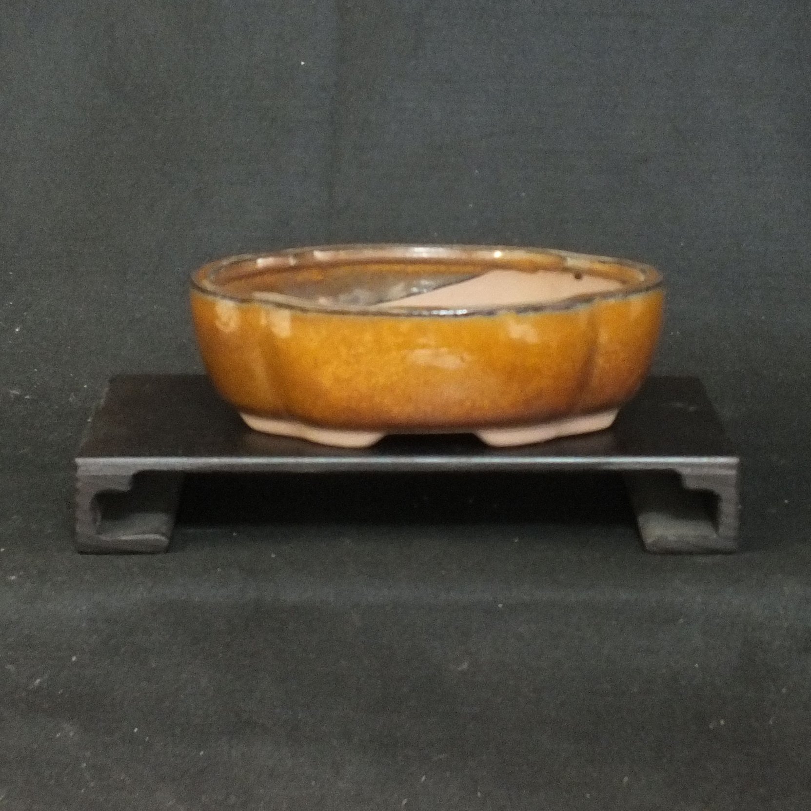 Yixing Rectangular Yellow Glazed Bonsai Pot - 18 x 15 x 5cm - British ...